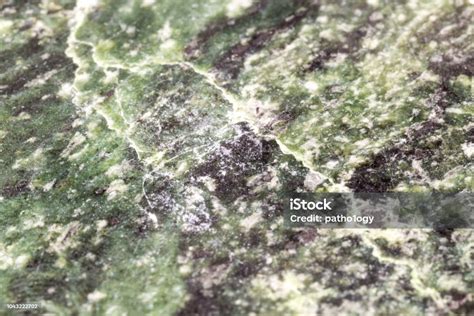 대리석 돌 질감 매크로 배경 결정 및 무기물 바위 텍스처를 닫습니다 0명에 대한 스톡 사진 및 기타 이미지 0명 갈색 거친 Istock