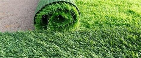 Artificial Grass Is More Eco Friendly Than You Think Artificial Grass