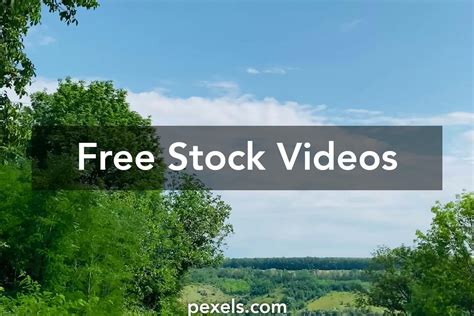 Beautiful Babe Videos Download The Best Free 4k Stock Video Footage And Beautiful Babe Hd Video Clips