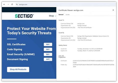 Wildcard Ssl Vs Standard Ssl Whats The Difference