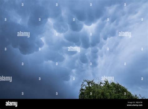 Ominous Mammatus Clouds Form In The Sky Signaling An Approaching Storm The Unusual Pouch Like