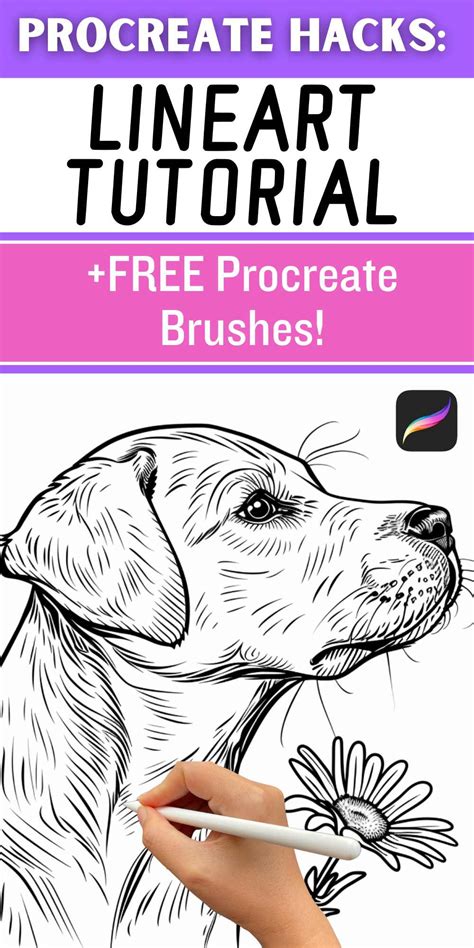 Procreate Lineart Made Easy My Secret Tips For Beginners Plus FREE Procreate Coloring Pages