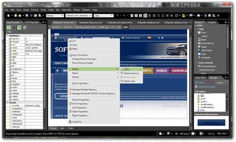 Microsoft Expression Web 4 Responsive Design Kopecho