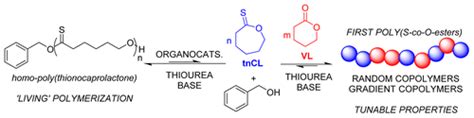 ε 硫代己内酯的受控有机催化开环聚合 Macromolecules X Mol
