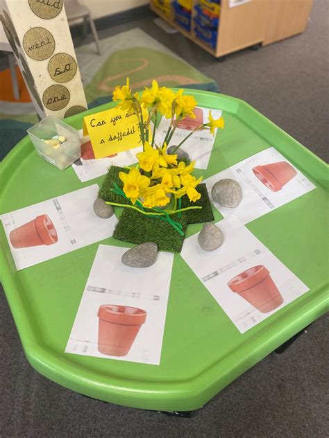 Daffodils 🌼 In The Tuff Tray