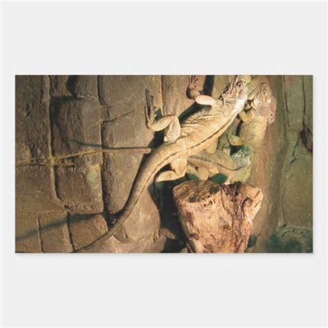 Flat Out Like A Lizard Drinking Sticker Zazzle