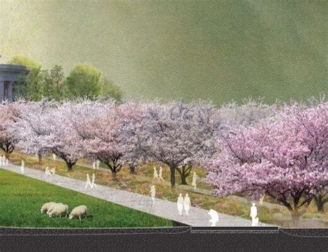 Renowned Landscape Architects Unveil Designs To Save The Tidal Basin