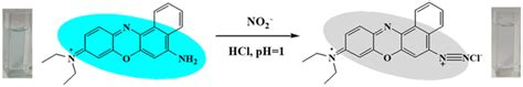 A Novel Highly Specific Colorimetric Fluorescent Probe For The