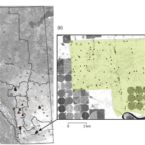 Fitting Results Of The Measured And Calculated Mueller Matrix Spectra Download Scientific
