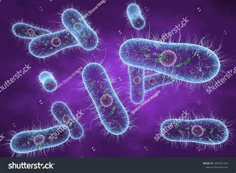 3d Illustration Salmonella Sp Bacteria Showing Stock Illustration