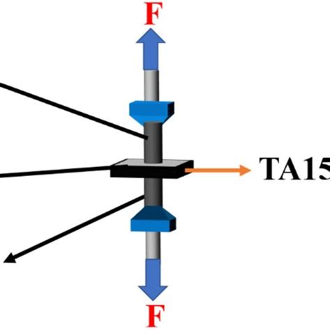 Schematic Diagram Of Adhesion Test Download Scientific Diagram