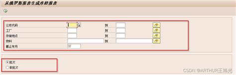基于俄罗斯报表j3rflvmobvedh生成库龄表 sap 俄罗斯报表 csdn博客