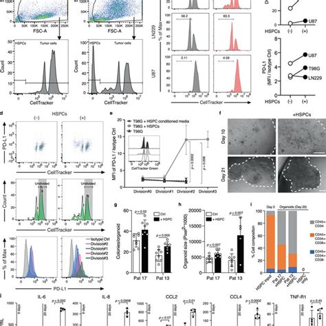 Cell Type Estimation Using Transcriptomes A Simplified Workflow Of Download Scientific Diagram