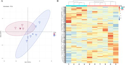 swam engine buffer size problem exovvti