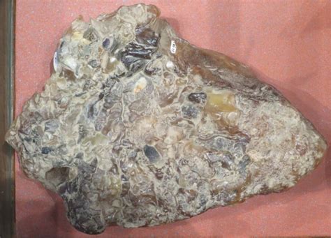 Ambergris The Whale Vomit Thats More Valuable Than Gold