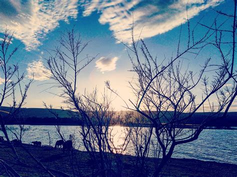 요가 동기 부여 퀴즈 Pixabay의 무료 사진 Pixabay