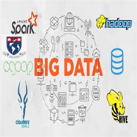 Statistical Analysis Using Spss In New Delhi