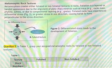 Solved Metamorphic Rock Texturesmetamorphism Creates Either