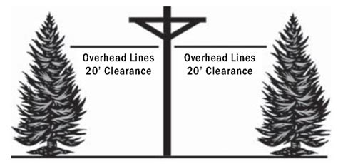 Tree Trimming Clearwater Polk Electric Cooperative