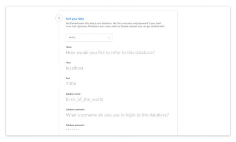 Learn How Metabase Can Make Your Data More Beautiful Spritle Software