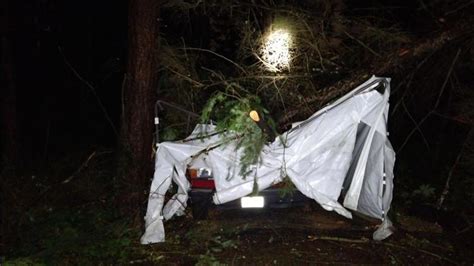 Over 40000 Remain Without Power In Western Washington As Crews Work To Restore After Storm