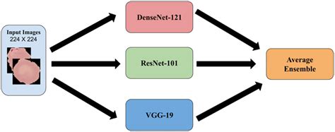 Proposed Average Ensemble Model Download Scientific Diagram