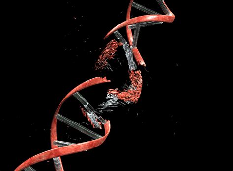 Dna Designed For Flexibility Reasons To Believe