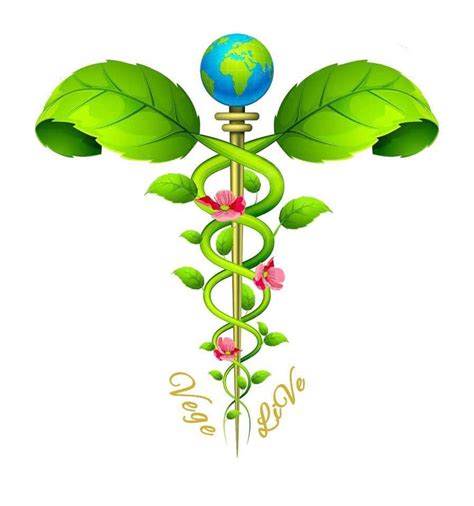 Vegelive ШТО СЕ МИКРООРГАНИЗМИ И КАКО НАСТАНУВА БОЛЕСТ Кога има акумулација на токсични