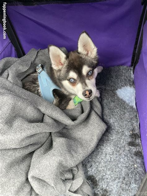 Adeline Frost Adelinefrost Nude Onlyfans Leaks The Fappening Photo Fappeningbook