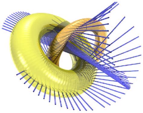 Tori With Infinitely Many Common Normals Download Scientific Diagram