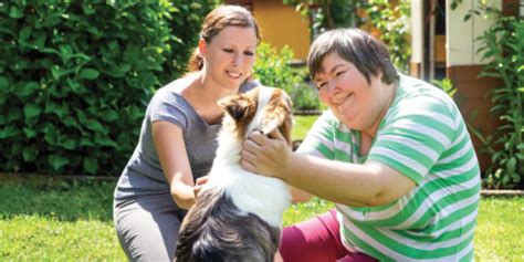 News And Stories Public Trustee