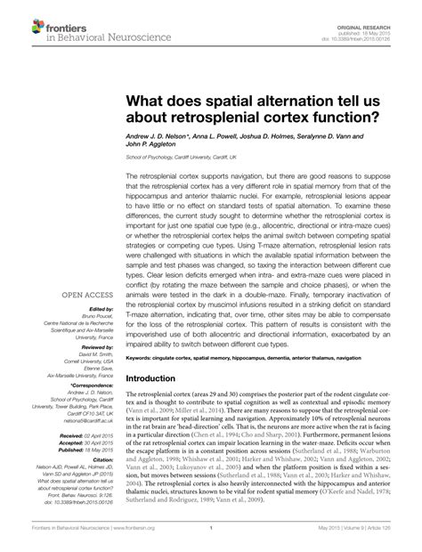 Pdf What Does Spatial Alternation Tell Us About Retrosplenial Cortex Function