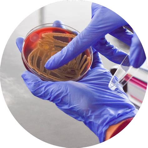 Zymo Research Device And Instruments Biolinkk