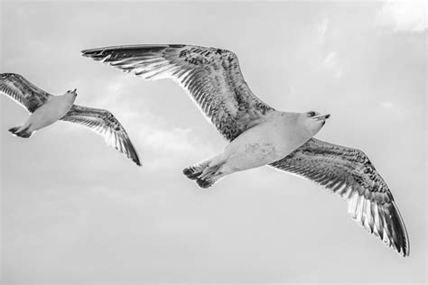 The Beauty Of The Simple By Onur Altunsaray 500px