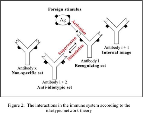 Figure 2 From Learning In Immune Network Algorithm For Multi Robot Cooperation Semantic Scholar