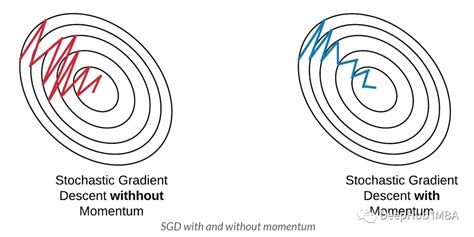 Sdgadamlookaheadlion等优化器的对比介绍 极术社区 连接开发者与智能计算生态