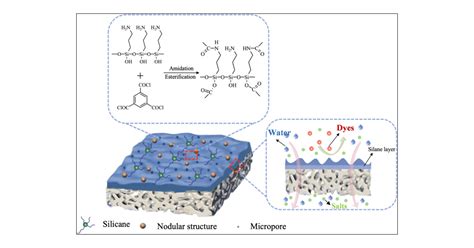 Surface Modification Of A Thin Film Composite Tfc Nanofiltration