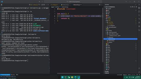 Kaggle Code Server SSH 把P100和T4变成我的形状 哔哩哔哩