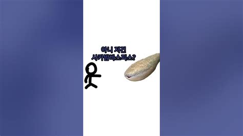 사카밤바스피스 Youtube