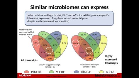 Metatranscriptomics YouTube
