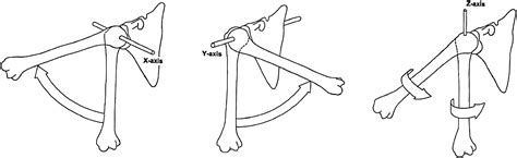 On The Hypotheses That Determine The Definitions Of Glenohumeral Joint Motion With Resolution