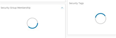 NSX Security Tags And Security Groups Are Not Displayed In WebClient Gansercom