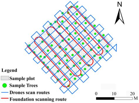 Forests Free Full Text A Lidar Driven Effective Leaf Area Index