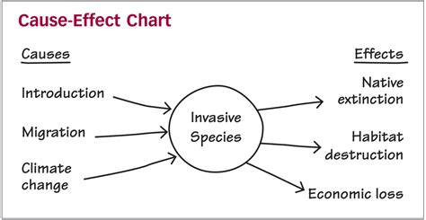 Analysis Tools Write For Business