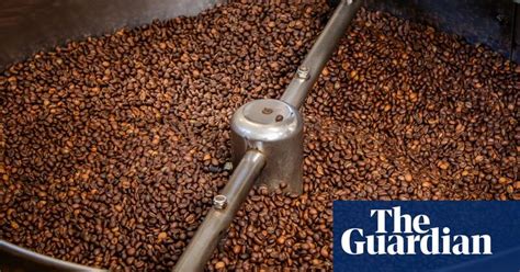 Procureright On Linkedin Full Of Beans Scientists Use Processed