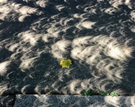 How To View The Solar Eclipse In Vancouver Vancouver Blog Miss604