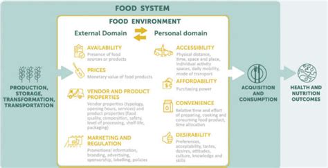 Food Environment Conceptual Framework Reprinted From Ref 17 Download Scientific Diagram