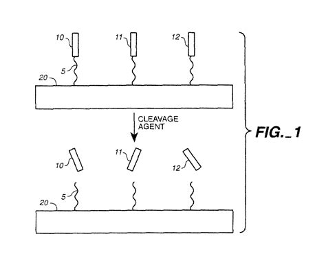 Compositions And Methods For Preparing Oligonucleotide Solutions Eureka Patsnap