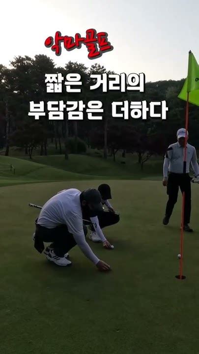 백돌이에게 오케이를 안주면안되아쉽네맥스골프스쿨신월악마골프골프 Golf 골프스윙 골린이 필드레슨 Golfswing 퍼팅골린이탈출 골프입문