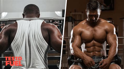 Testosterone Levels By Race Testofuel Blog